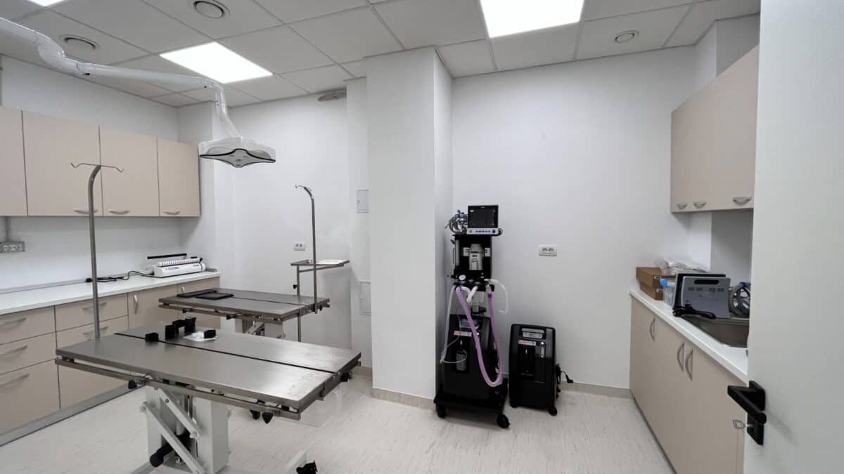 Spitalul Veterinar TheVets - The Vets