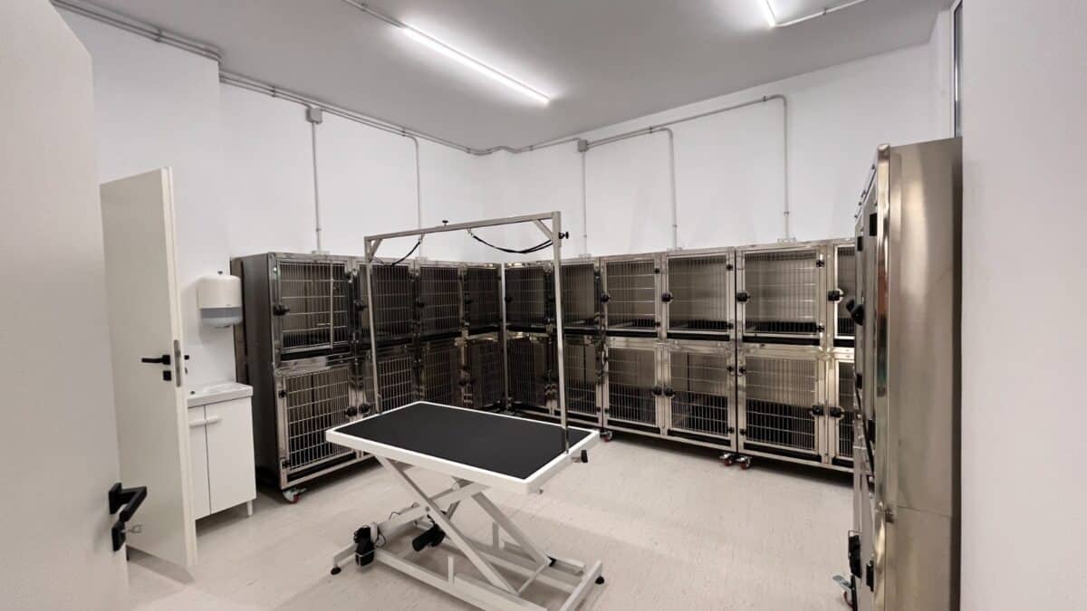 Spitalul Veterinar TheVets - The Vets