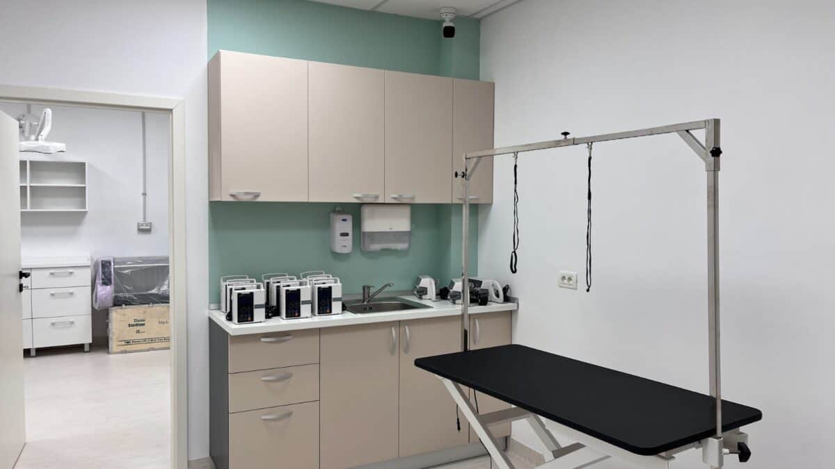 Spitalul Veterinar TheVets - The Vets