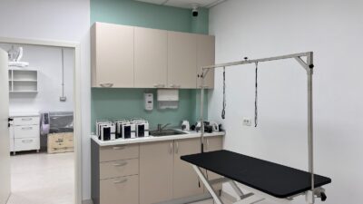 Spitalul Veterinar TheVets - The Vets